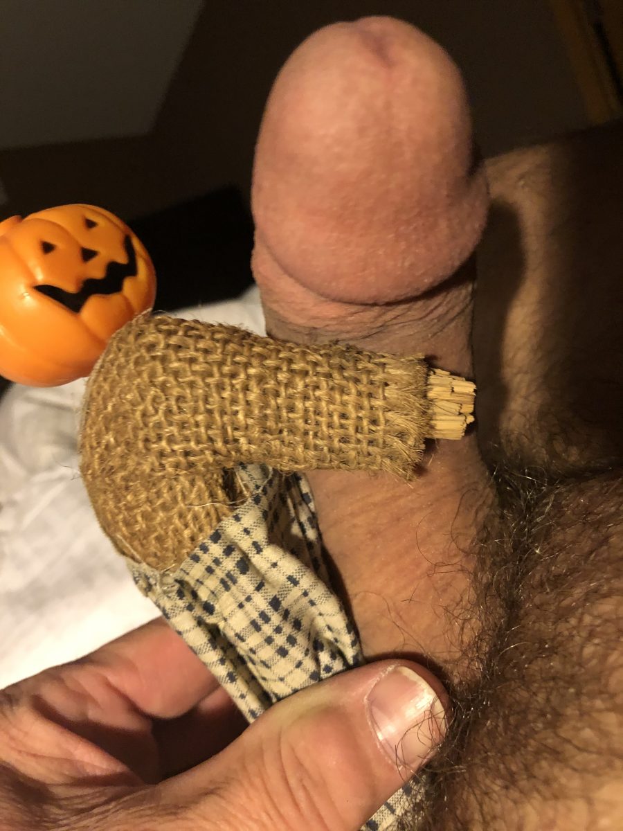 Halloween Dick Or Treat Entries Daily Squirt